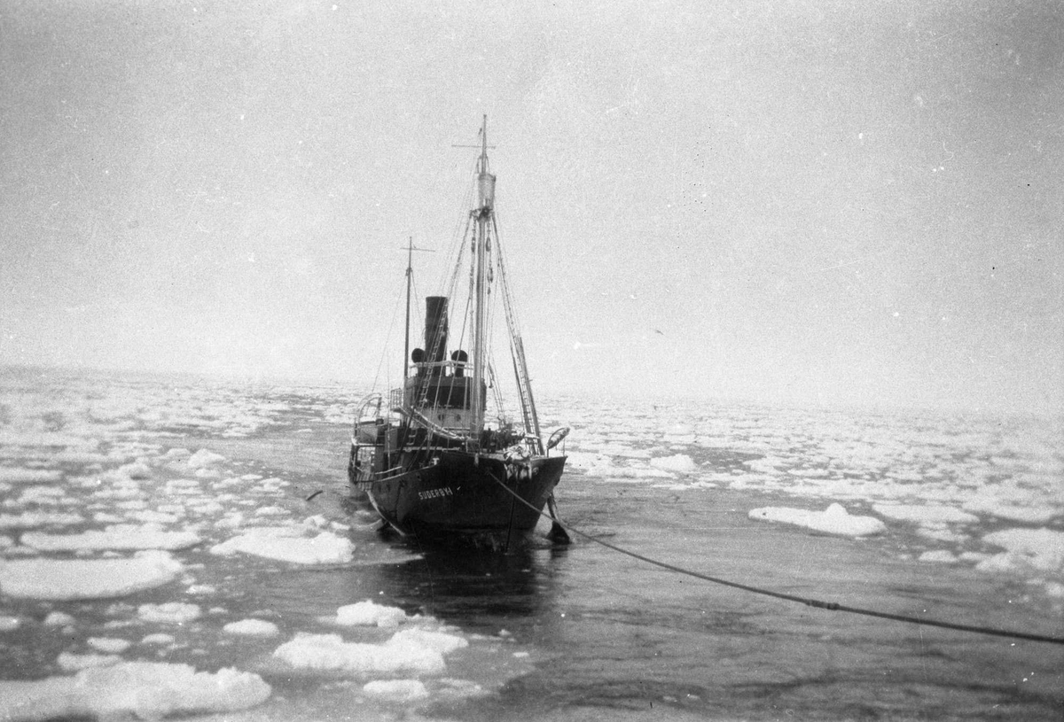 Hvalfangst - dampskip - Haugalandmuseet / DigitaltMuseum