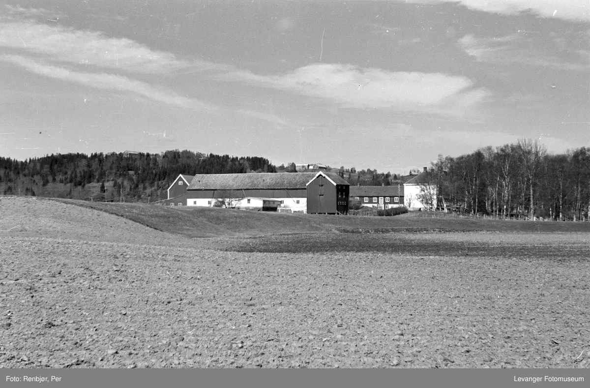 Mo Gård ved Levanger - Levanger Fotomuseum / DigitaltMuseum