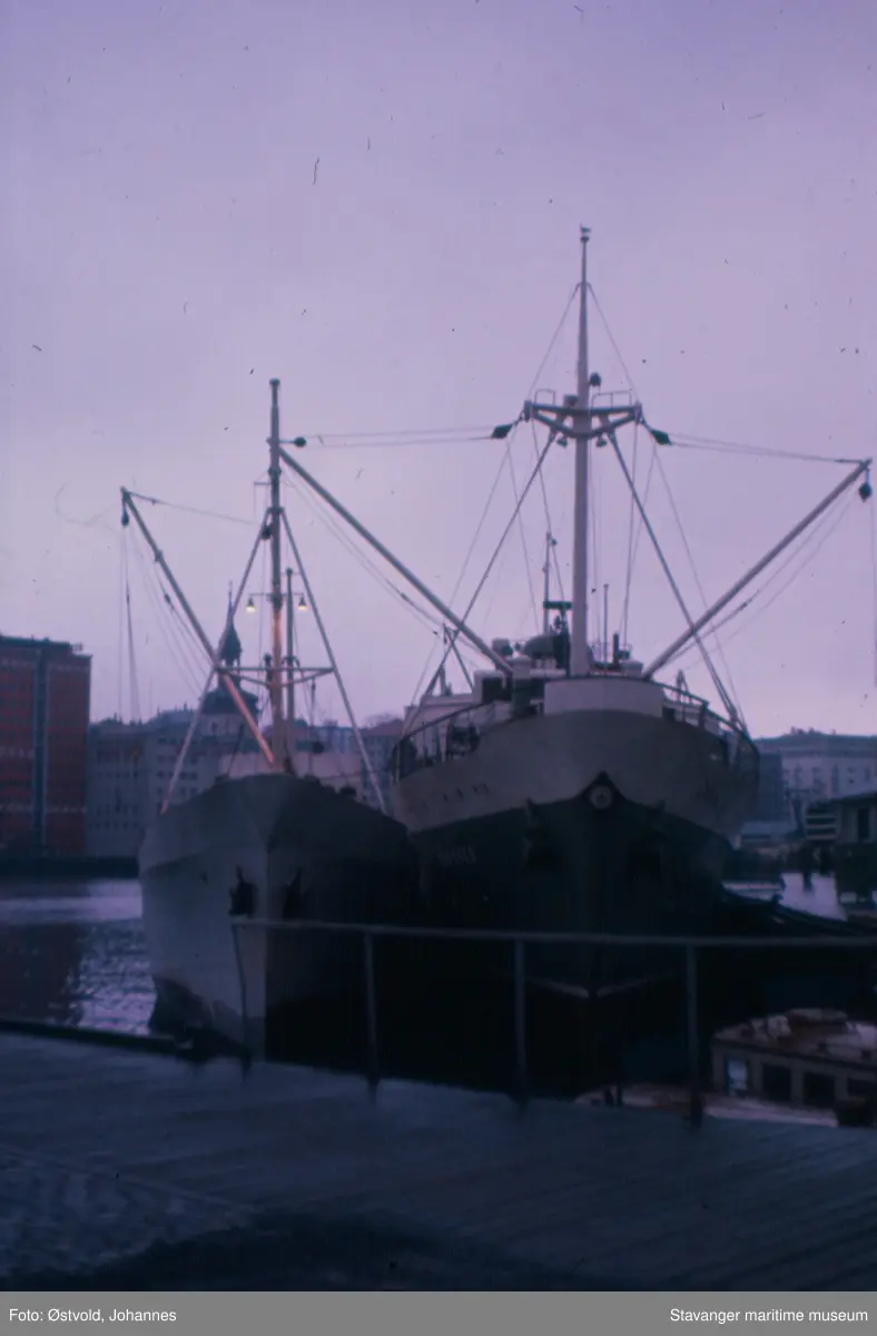 MS "Sandnes" og MS "Vestfold I" til kais i vågen i Bergen. Nykirken i ...